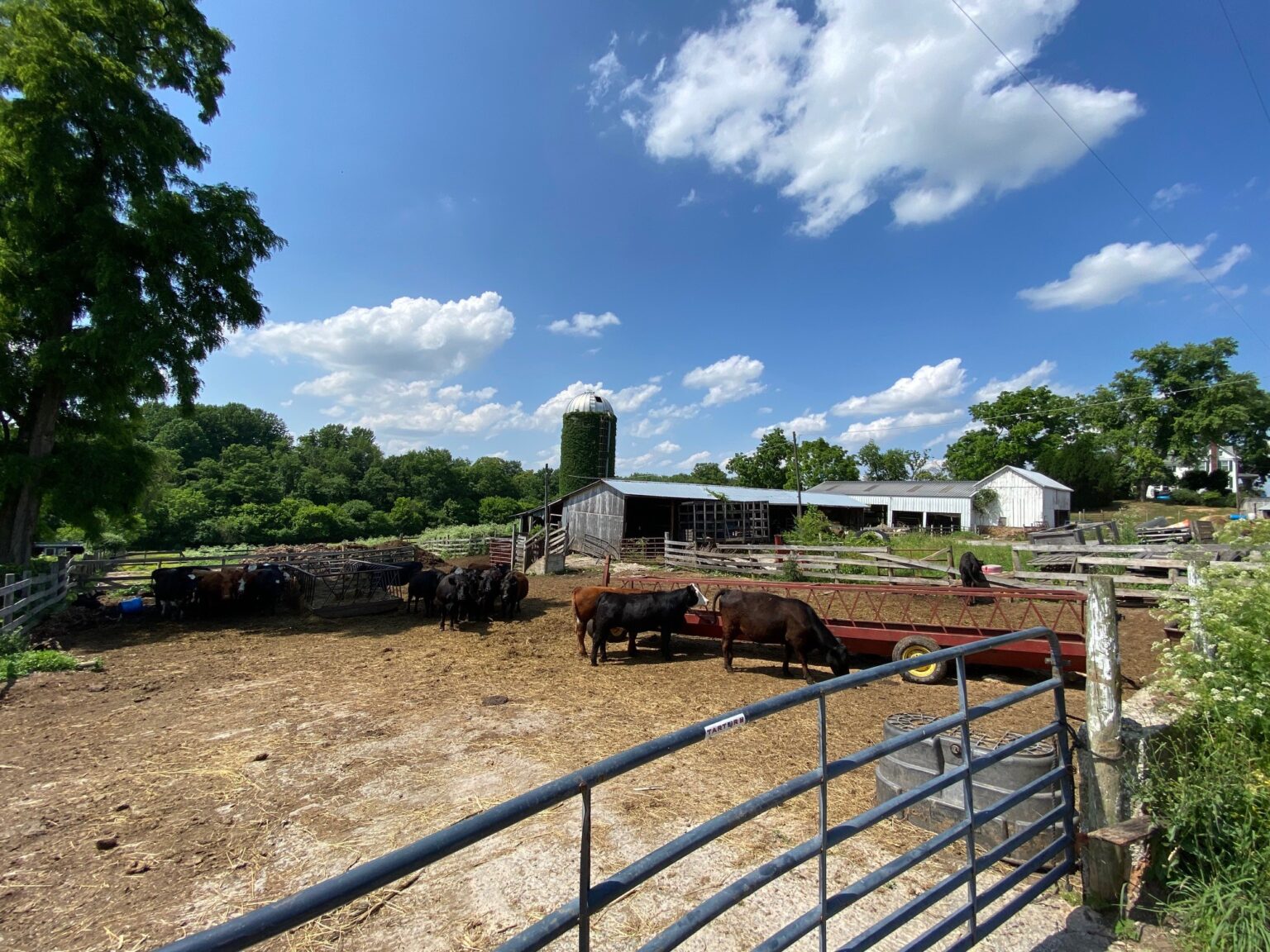 Community Food Rescue| The Season of Sharing - Community Food Rescue