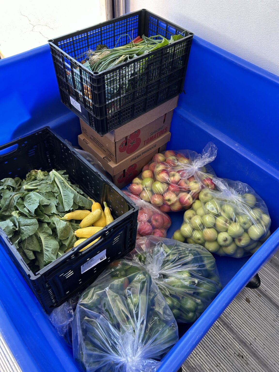 Community Food Rescue| Quarterly CFR Member Highlight: The UpCounty Hub ...